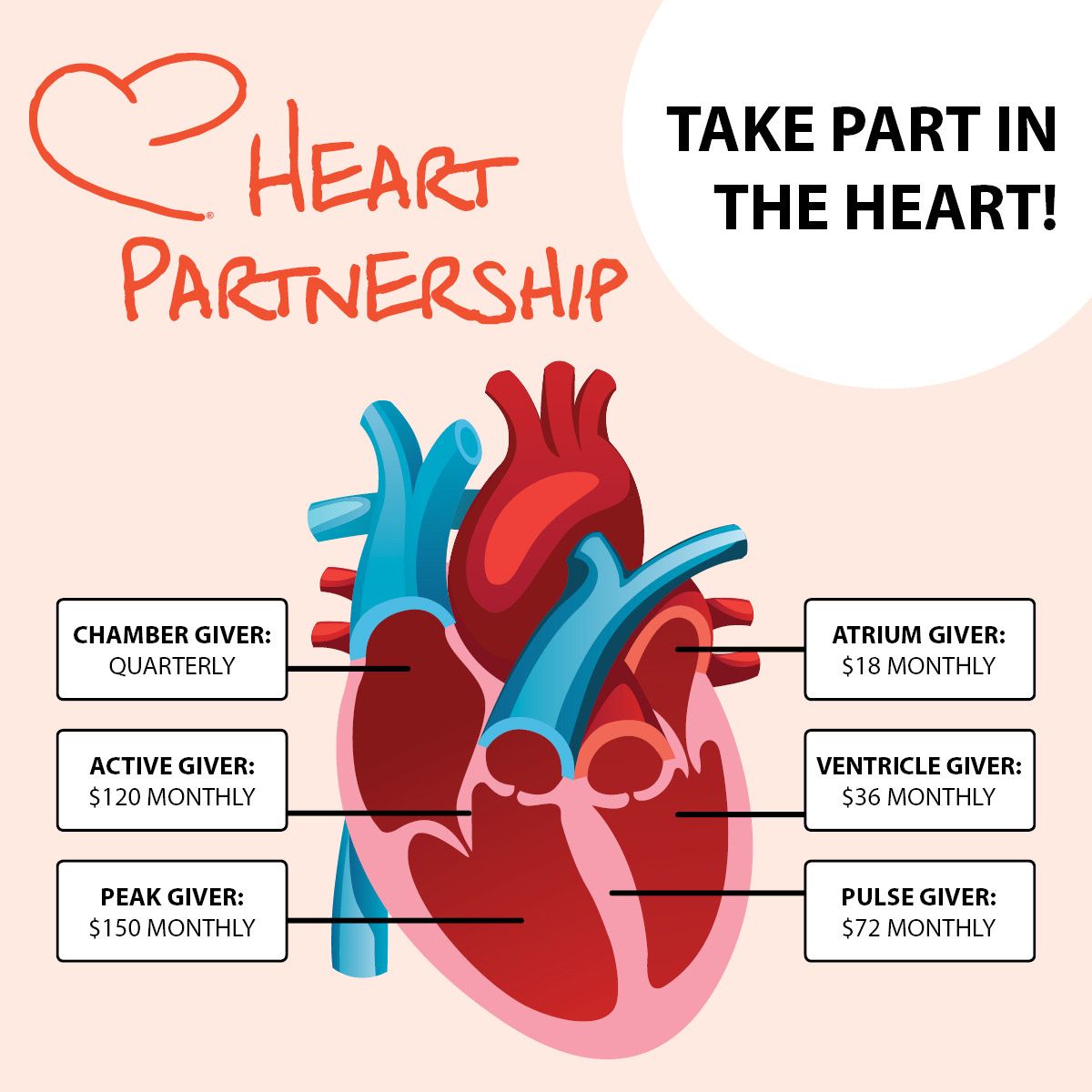 Heart Partnership - Emerson Rose Heart Foundation