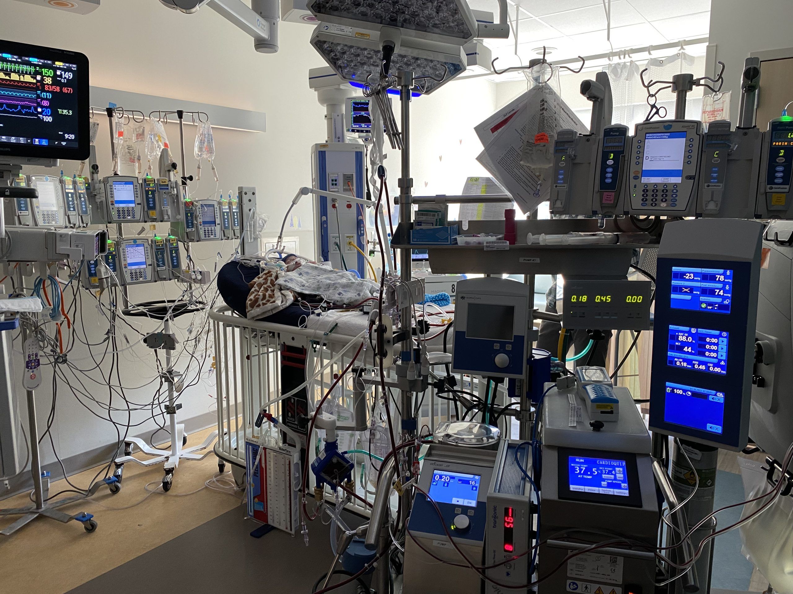 ERHF Helps Fund Advanced ECMO Simulator for MUSC - Emerson Rose Heart ...