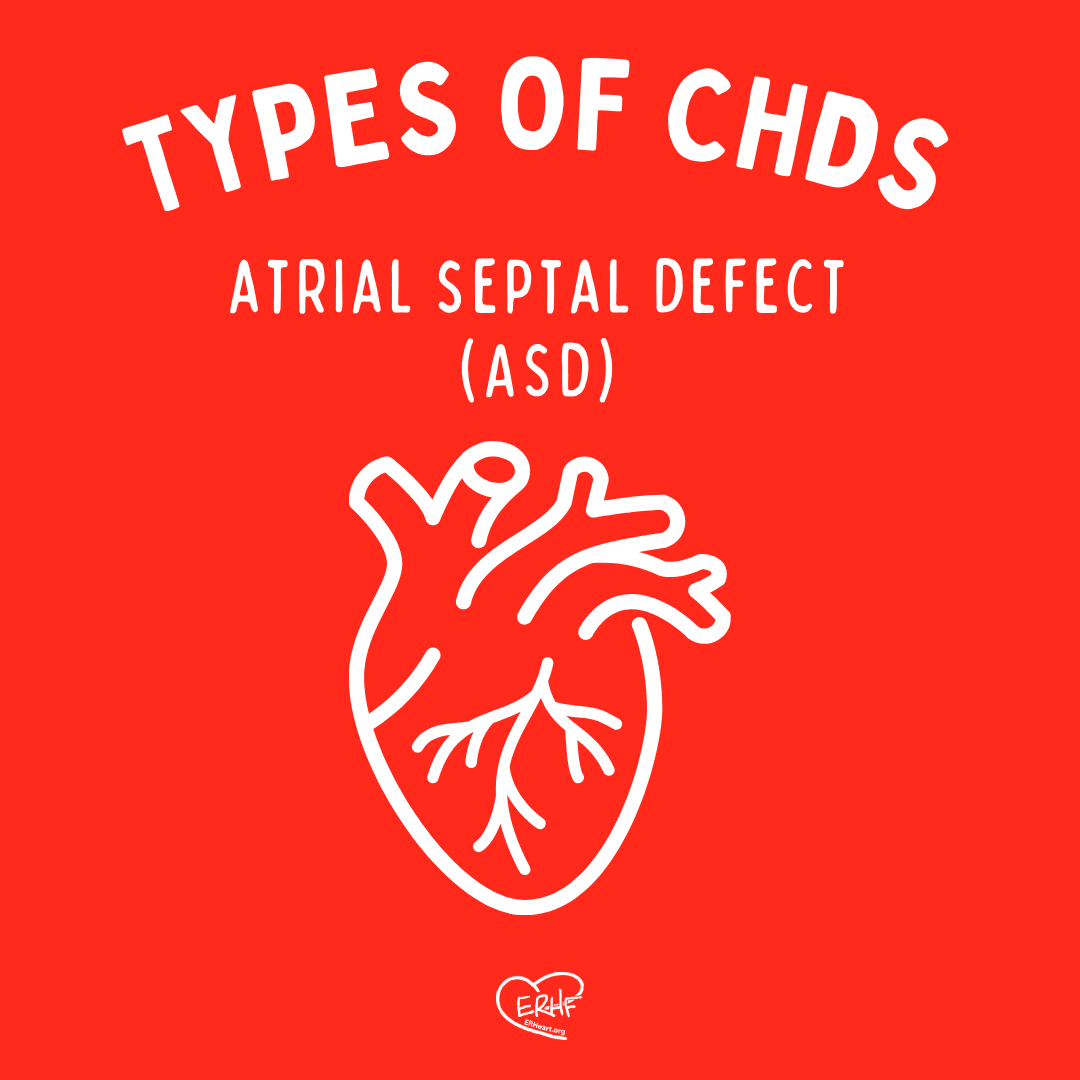 Types of CHDs-Atrial Septal Defect - Emerson Rose Heart Foundation